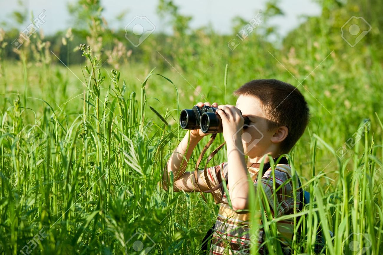 Inteligencia musical y naturalista at emaze Presentation