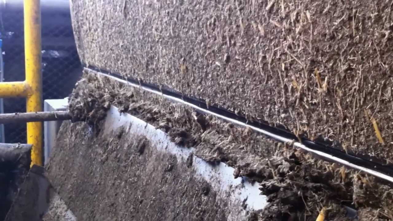 CICLO DE VIDA DEL AZÚCAR on emaze