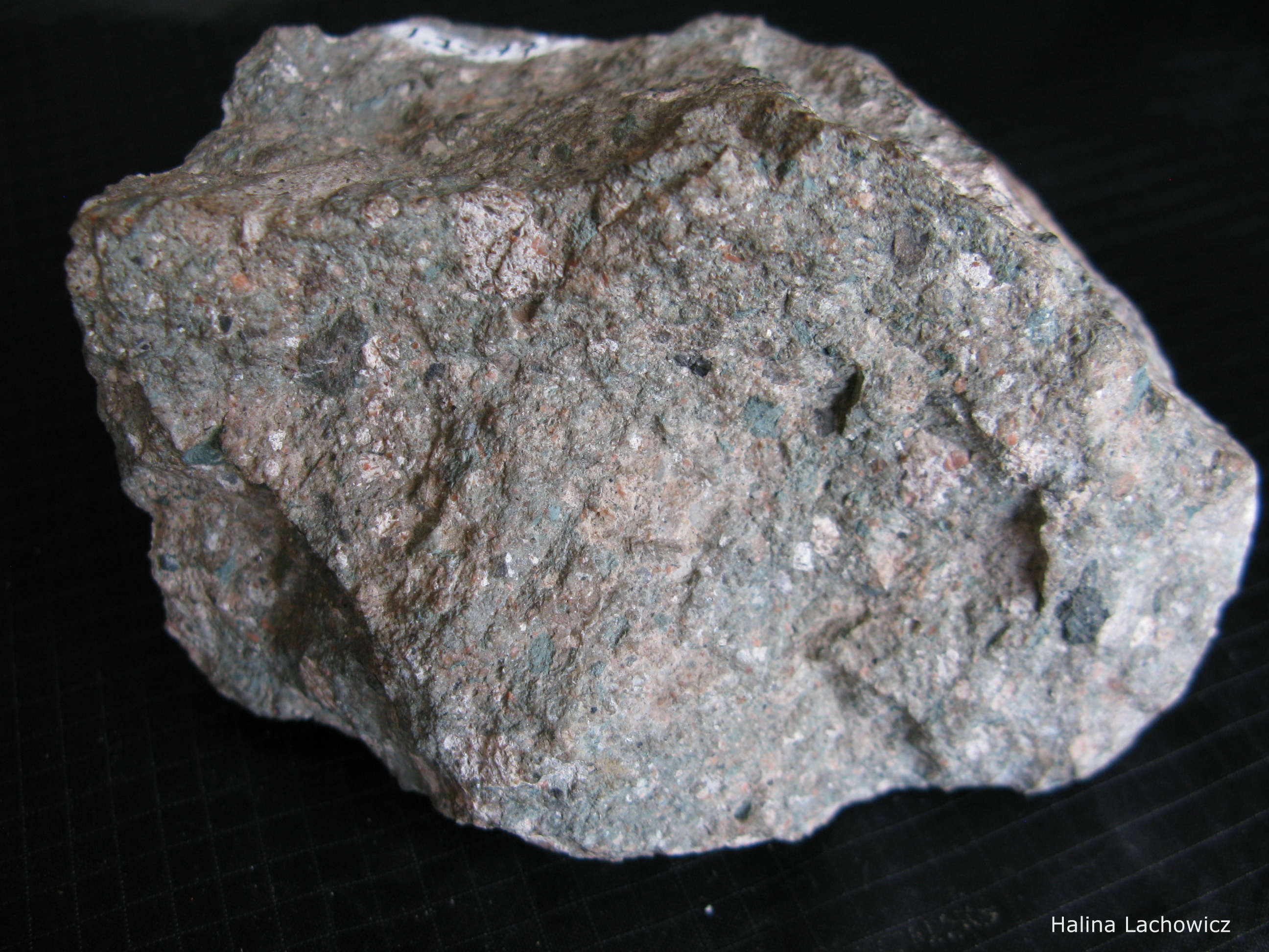 Presentation Name on emaze