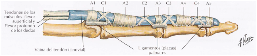 Presentation Name on emaze