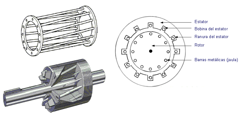 Motor jaula de ardilla on emaze