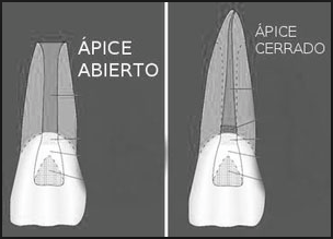 APICOFORMACION at emaze Presentation