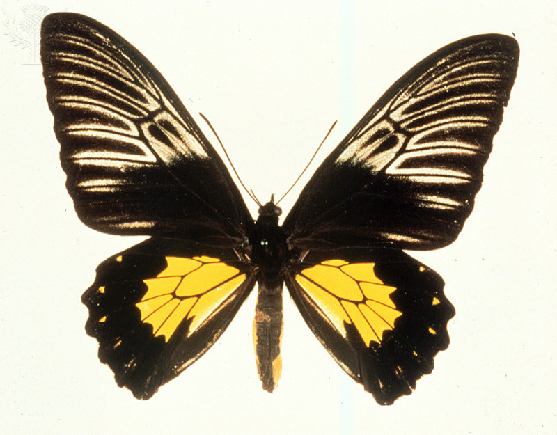 Judges of the underworld at emaze Presentation