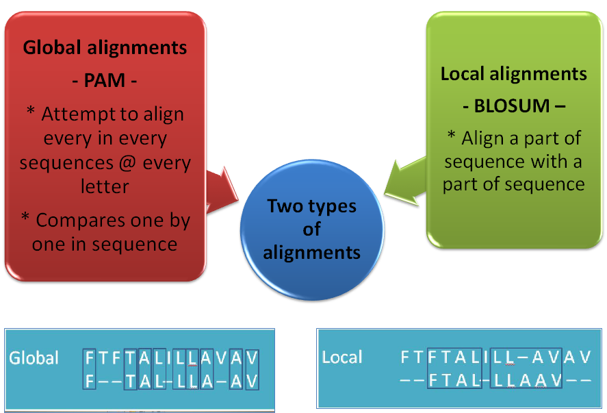 BLOSUM copy1 on emaze