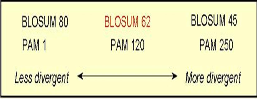 BLOSUM copy1 at emaze Presentation