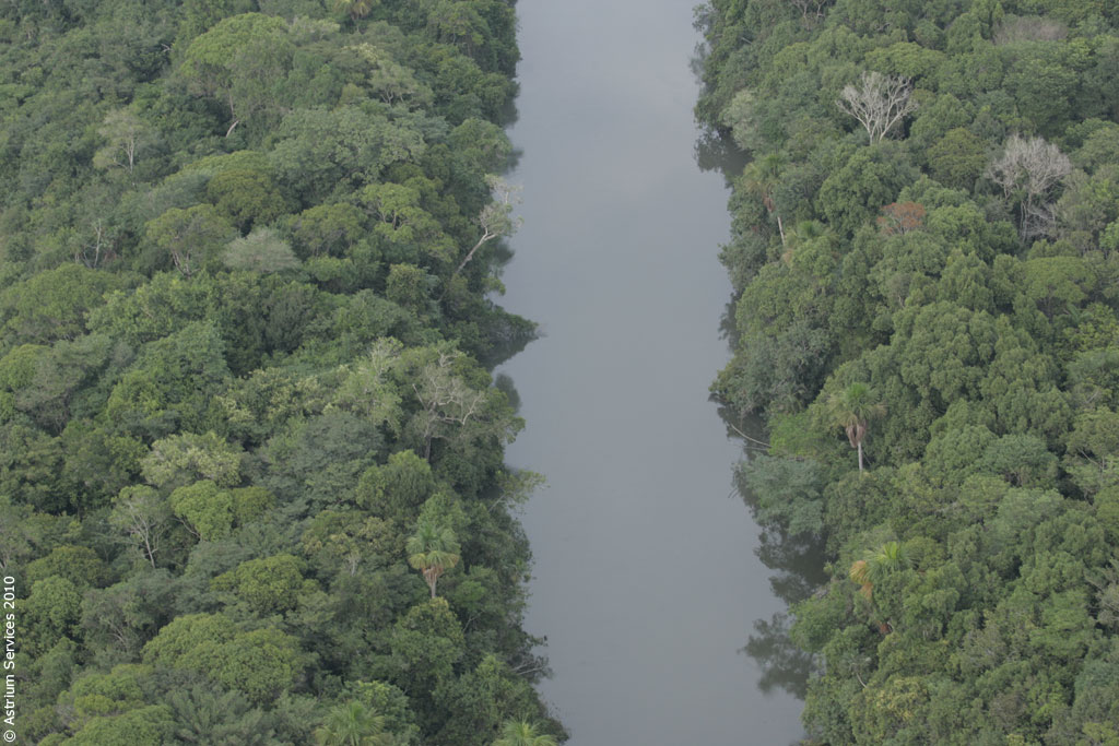 Congo Great Rain Forest On Emaze