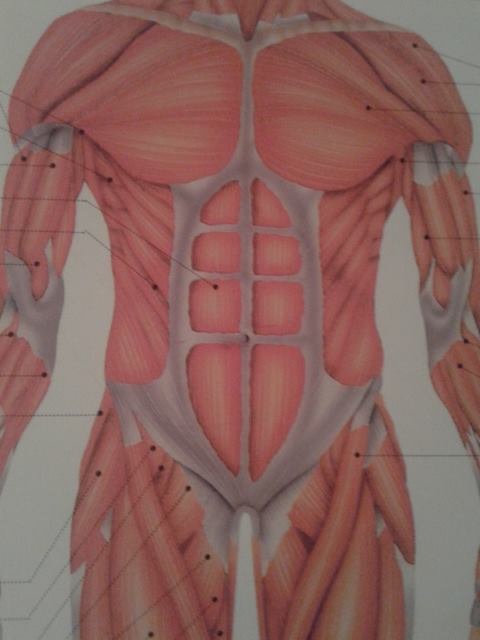 miologija at emaze Presentation