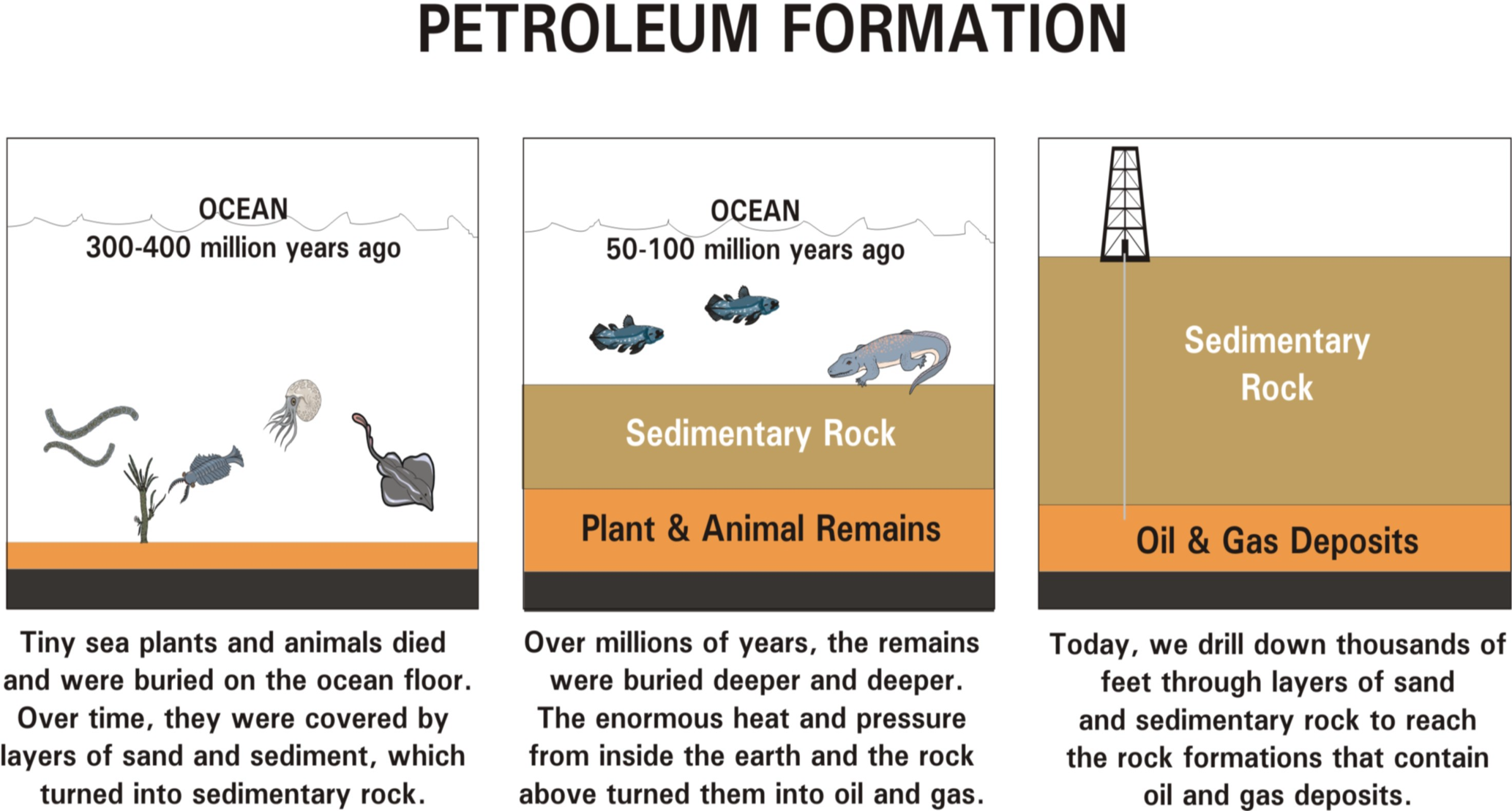 Natural Gas.pptx on emaze