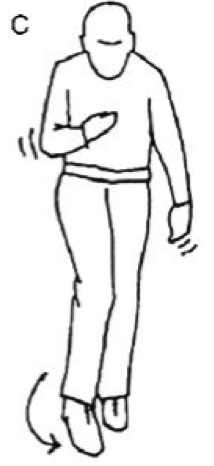 TIPOS DE MARCHAS on emaze