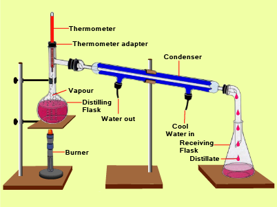 4.5 LEARNING ACTIVITIES P. 243 on emaze