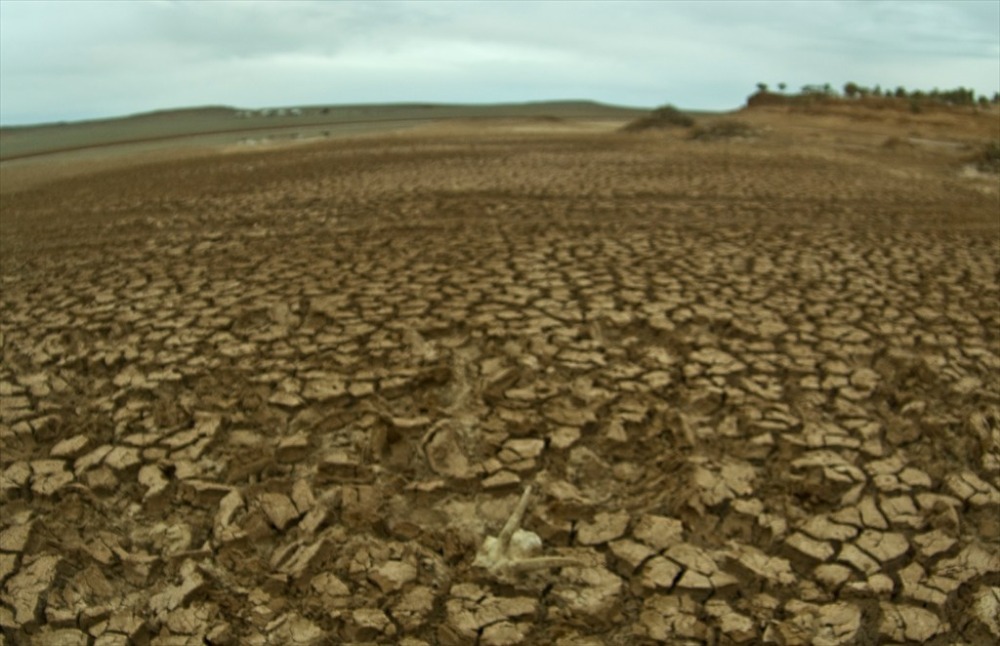 Presentation Name on emaze