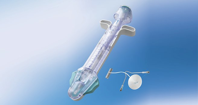 Aorta en porcelana.pptx on emaze