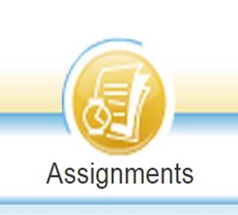 Create PLE Assignments at emaze Presentation
