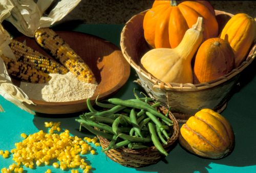 The Southeastern on emaze