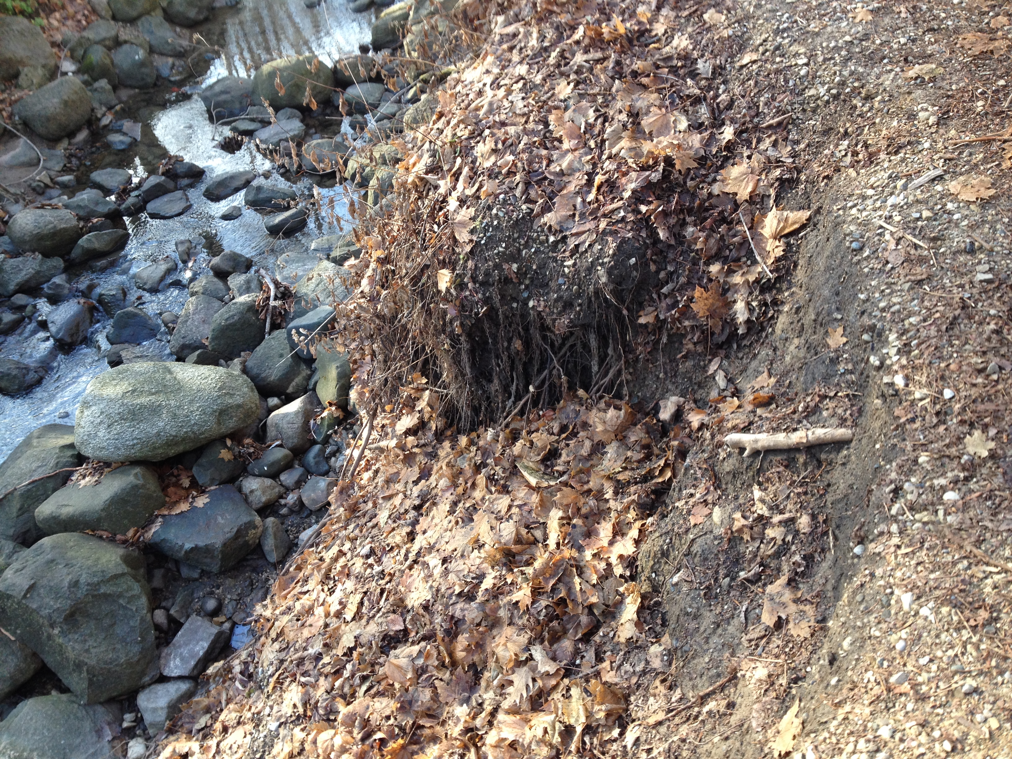 Weathering and Erosion at emaze Presentation