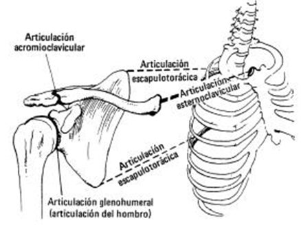 Cinesiologia e Biomecânica on emaze