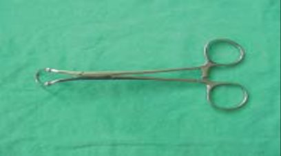 Presentation Name on emaze