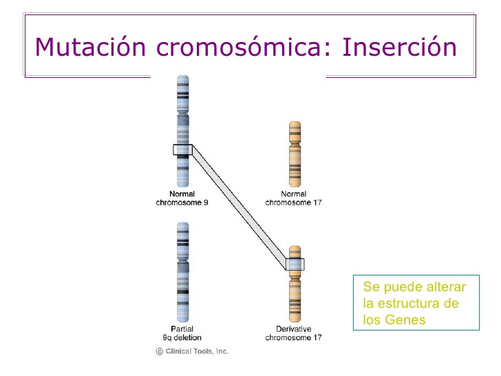 ANOMALÍAS CROMOSÓMICAS on emaze