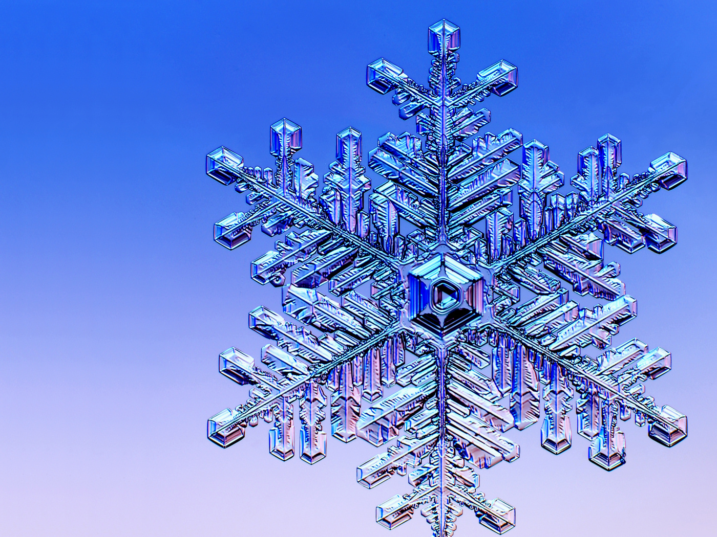 8 Fun Facts About Snowflakes at emaze Presentation