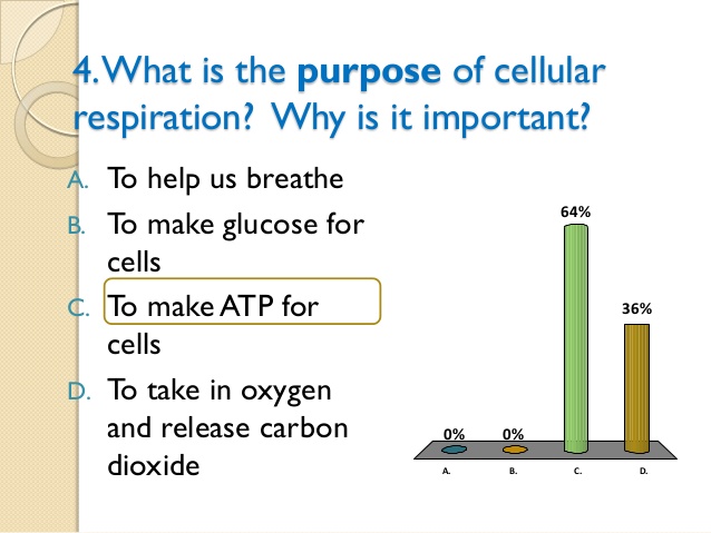Cellular Respiration Graphic Organizer at emaze Presentation