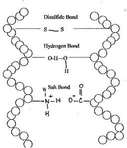 biochemistry copy1 on emaze