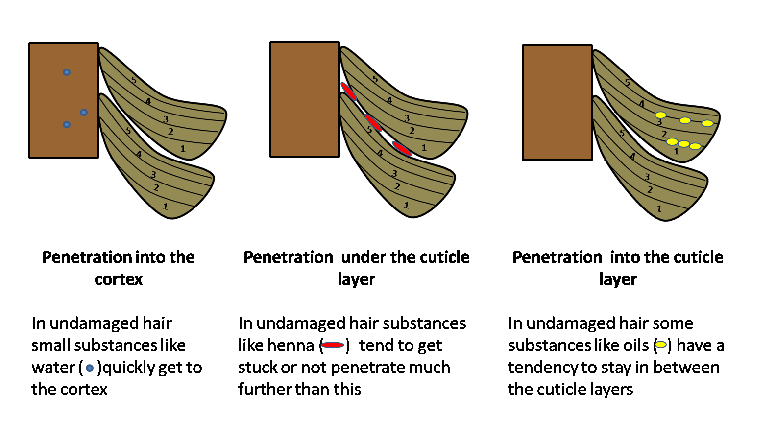 biochemistry copy1 on emaze