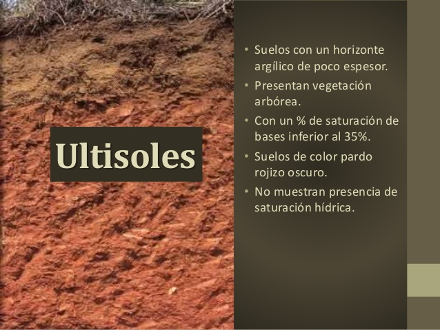 GELISOLES Y ULTISOLES at emaze Presentation