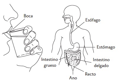 VÍAS DE ADMINISTRACIÓN on emaze