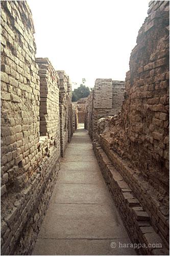 Indus Valley at emaze Presentation