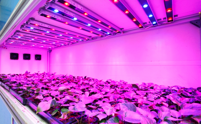 Sustainable Sourcing - Alternative Growing Methods Final Presentation ...