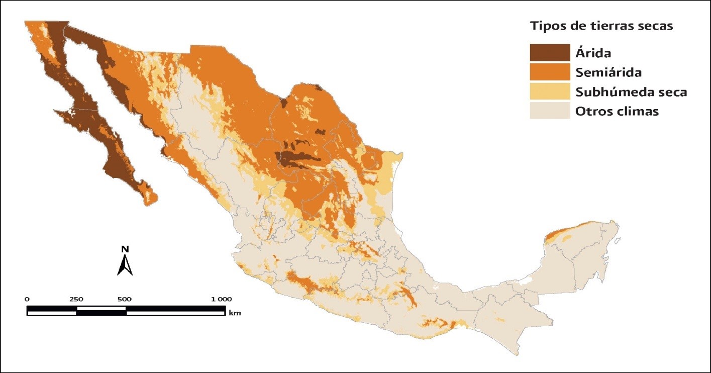 DEsiertos y on emaze
