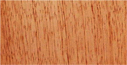 la madera at emaze Presentation