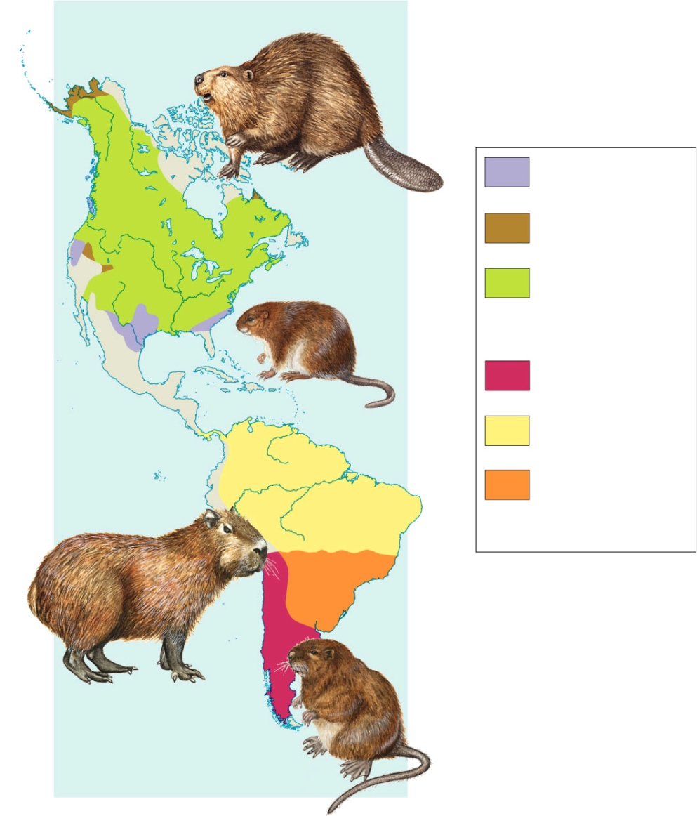 15 Evolution All Materials 3 DaysBW.pptx at emaze Presentation