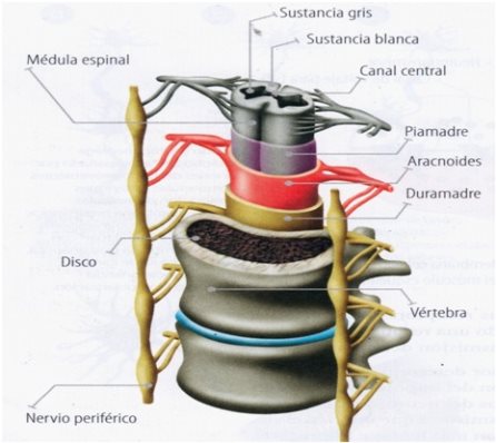 Presentation Name on emaze