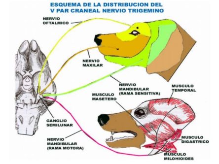 Presentation Name at emaze Presentation