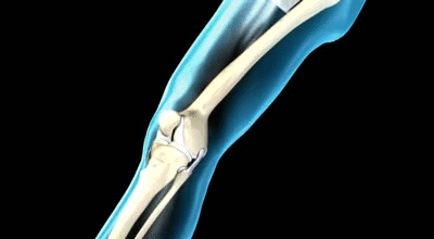 cartilago at emaze Presentation