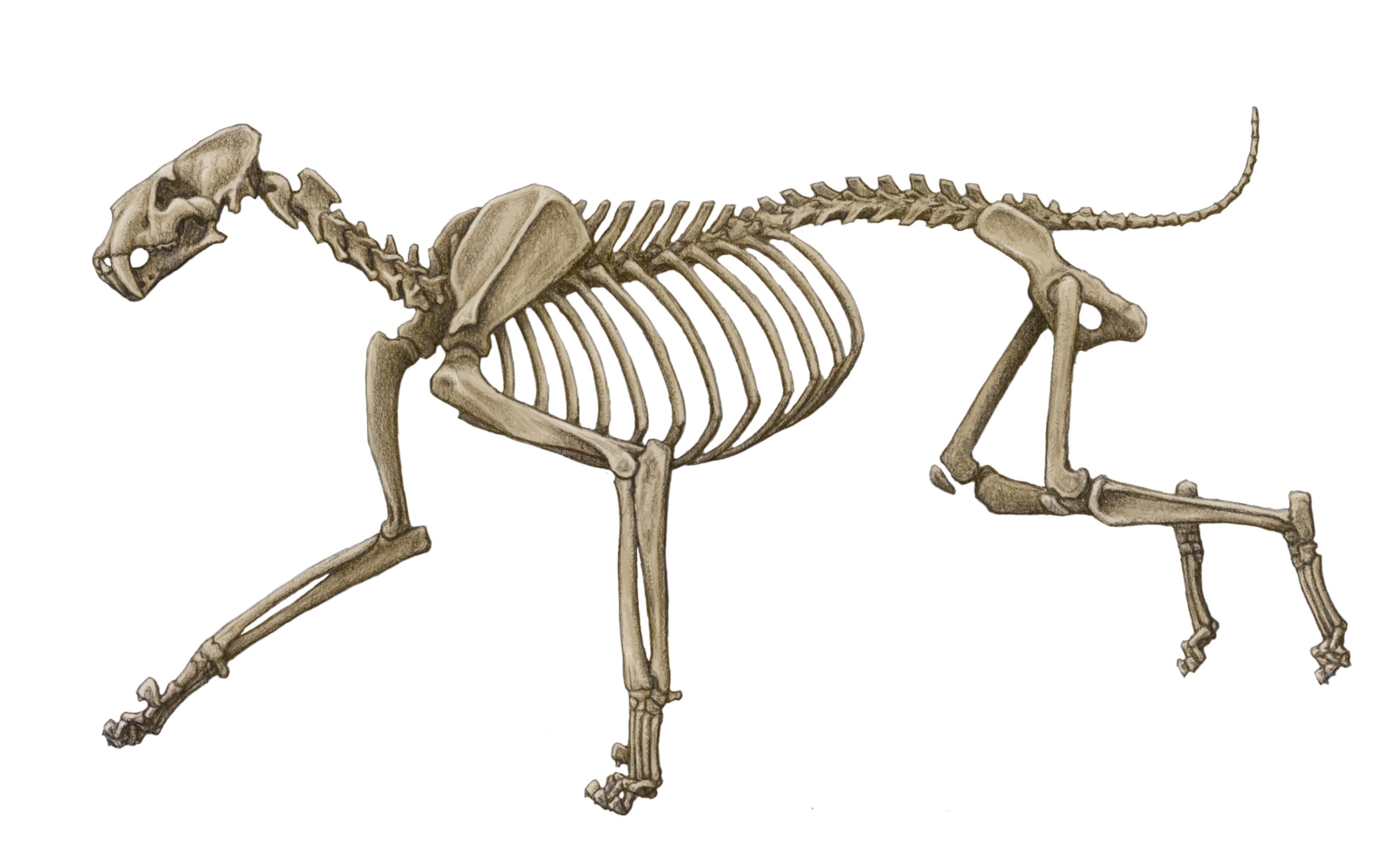 Structural Frame By Artentry Jackson On Emaze