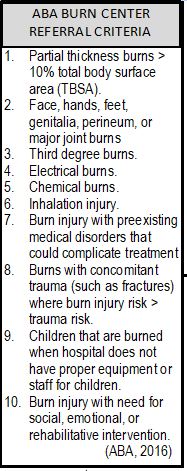 Burn Care Bundle at emaze Presentation