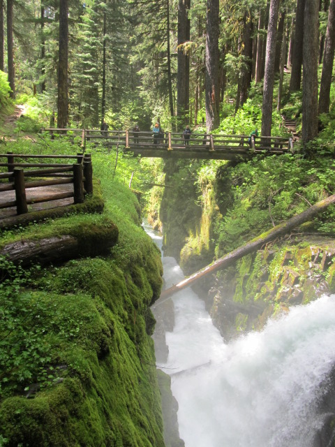 Olympic National Park at emaze Presentation