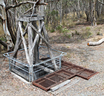 The Gold Rush on emaze