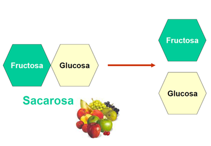 gramos de azúcar en los alimentos on emaze