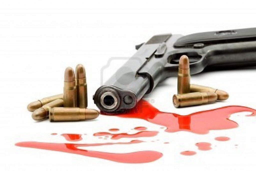 balistica forense on emaze