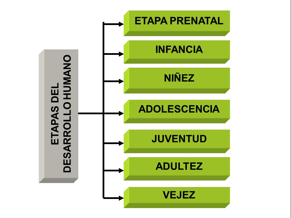 ONTOGENIA at emaze Presentation