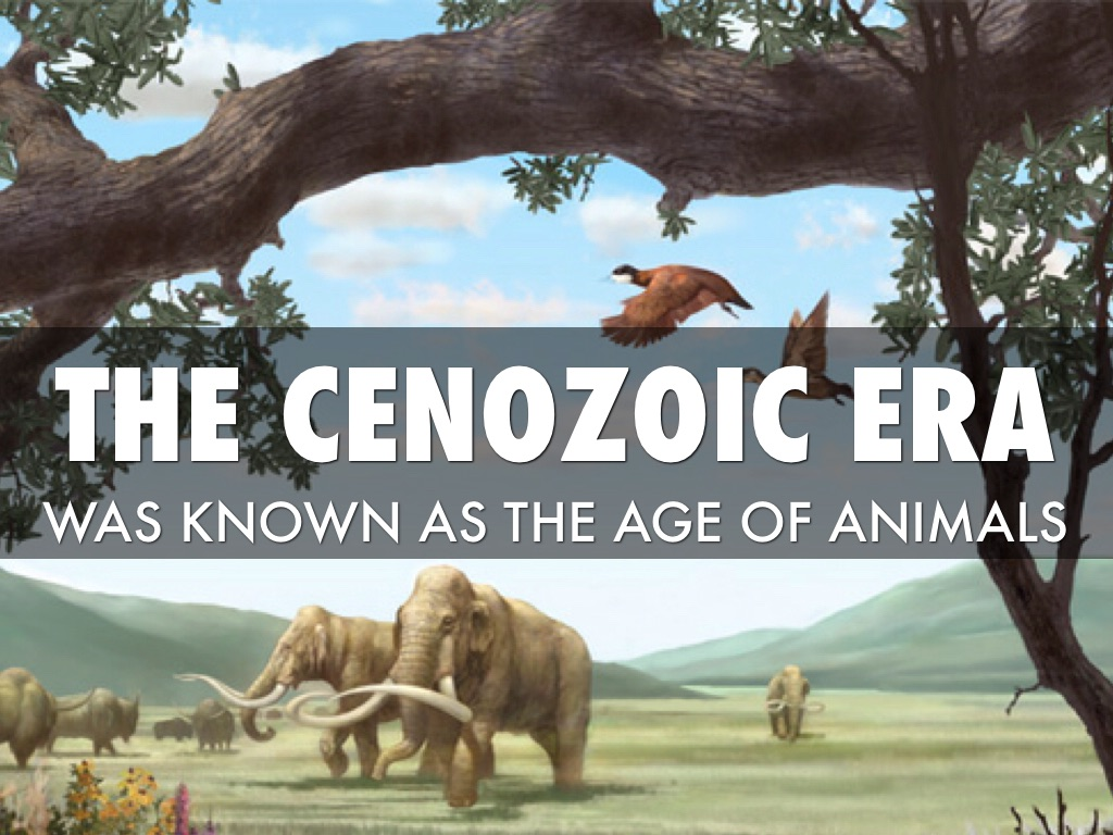 Cenozoic Era at emaze Presentation