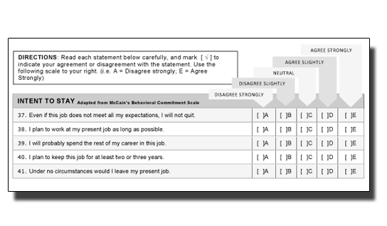 Safety Climate and nurse outcomes on emaze