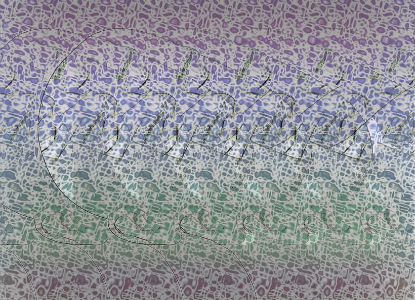 ESTERIOGRAMAS... on emaze