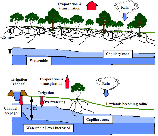 Salinity at emaze Presentation