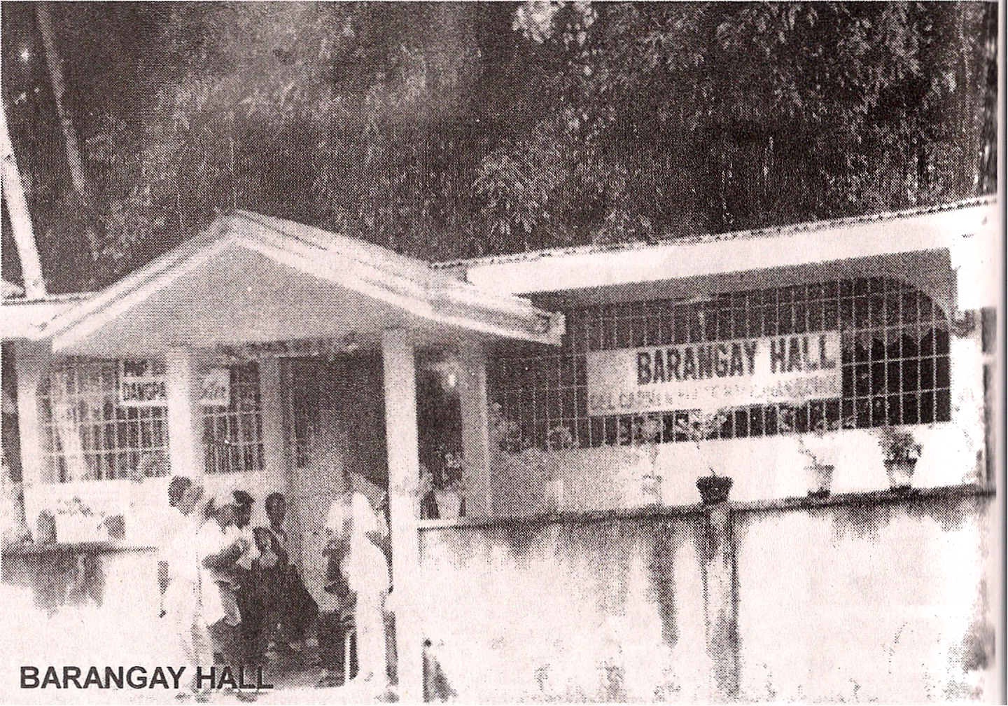 Evolution of Government on emaze