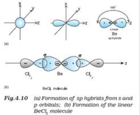 Hybridisation on emaze