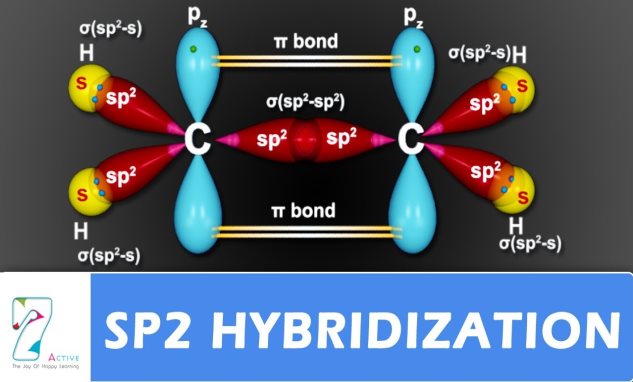 Hybridisation on emaze
